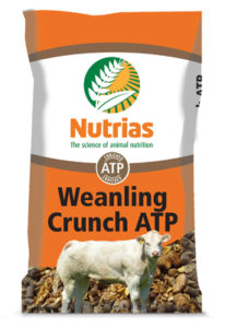 Beef Products | Nutrias