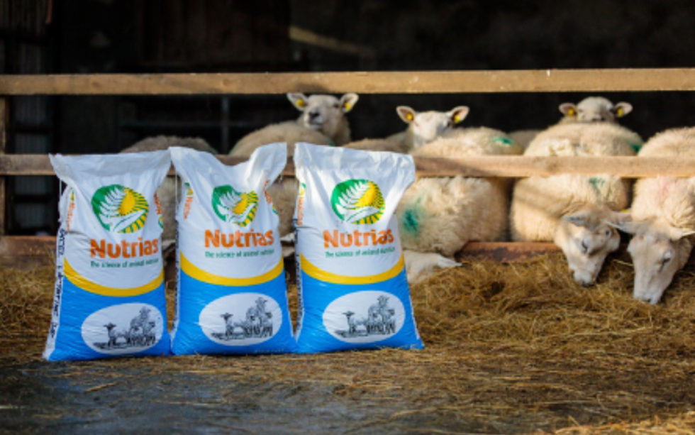 Nutrias | The Science of Animal Nutrition: We are your partners in ...