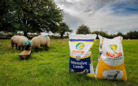 Nutrias | The Science of Animal Nutrition: We are your partners in ...