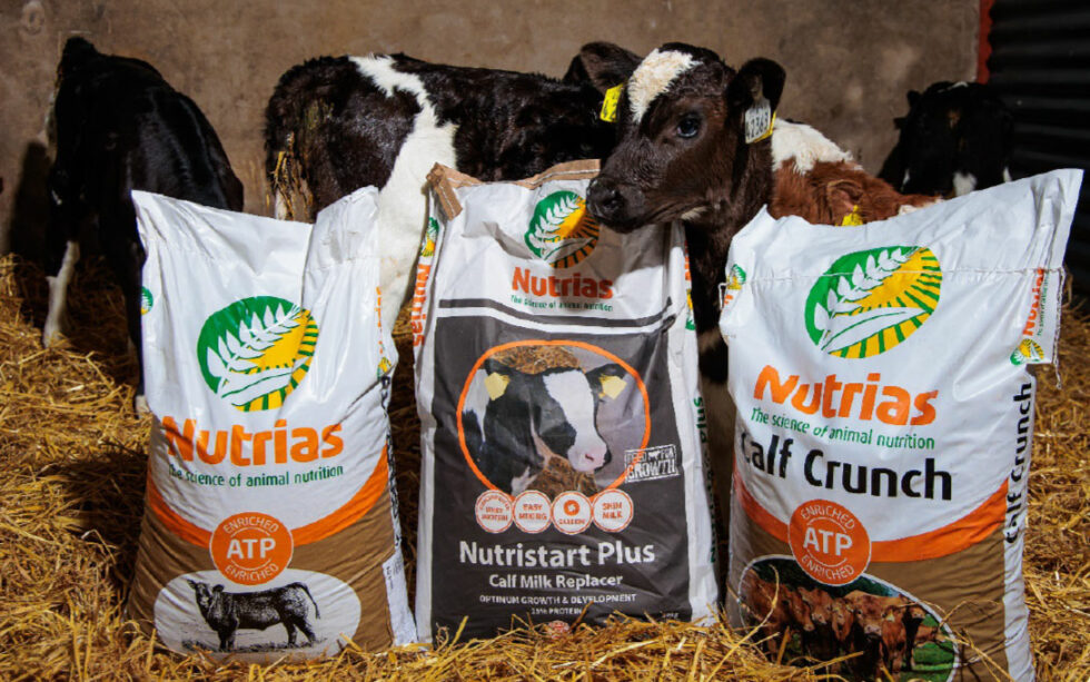 Nutrias | The Science of Animal Nutrition: We are your partners in ...