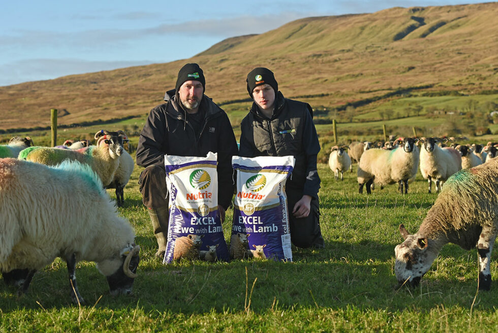 Nutrias | The Science of Animal Nutrition: We are your partners in ...